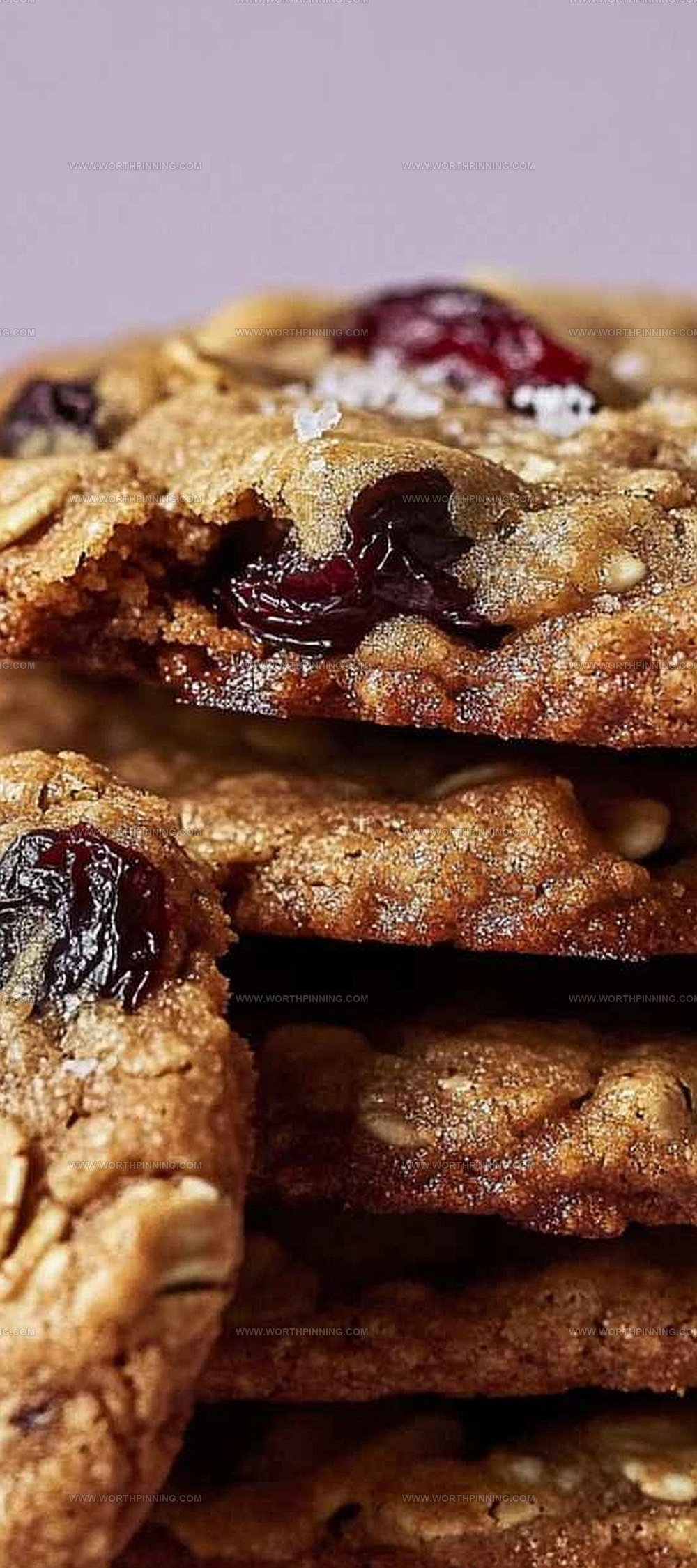 Irresistible Barefoot Contessa's Salty Oatmeal Chocolate Chunk Cookies ...