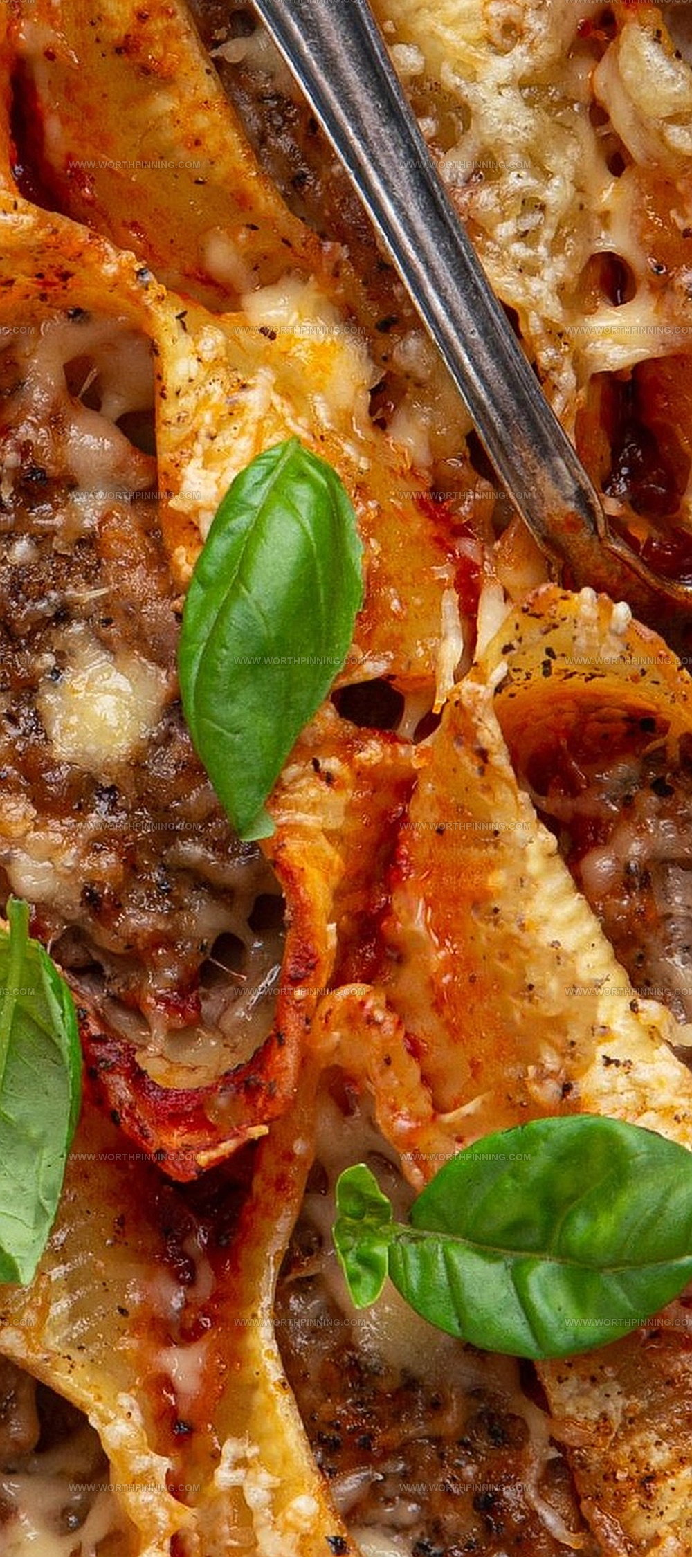 Easy Pioneer Woman Stuffed Shells Recipe: Cozy Family Favorite - Worth ...