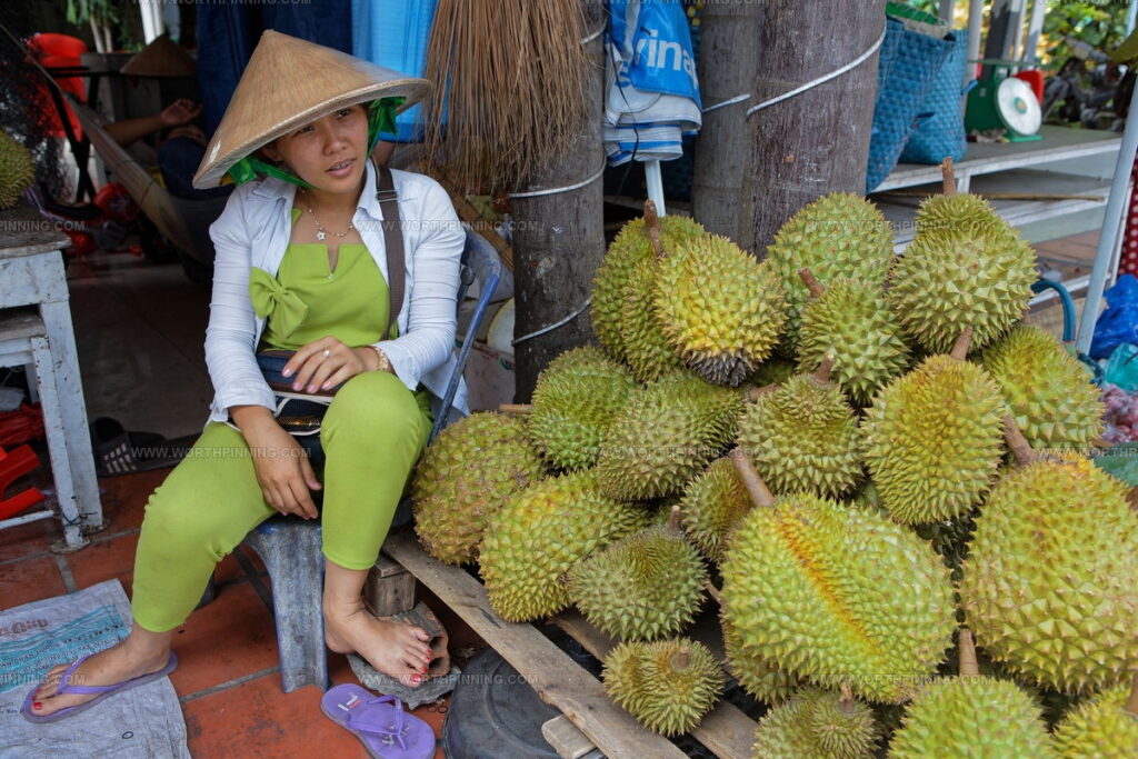 25 Rare Southeast Asian Fruits Every Food Lover Needs - Worth Pinning