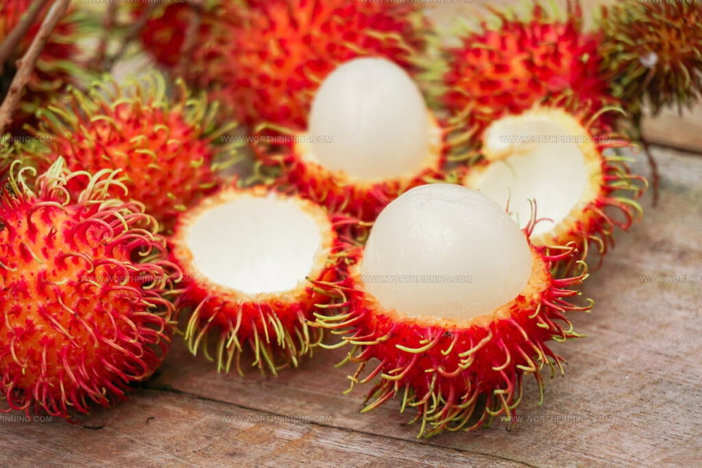 25 Rare Southeast Asian Fruits Every Food Lover Needs - Worth Pinning